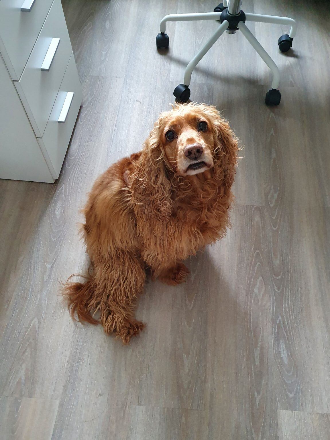 Arbeiten im Software-Startup